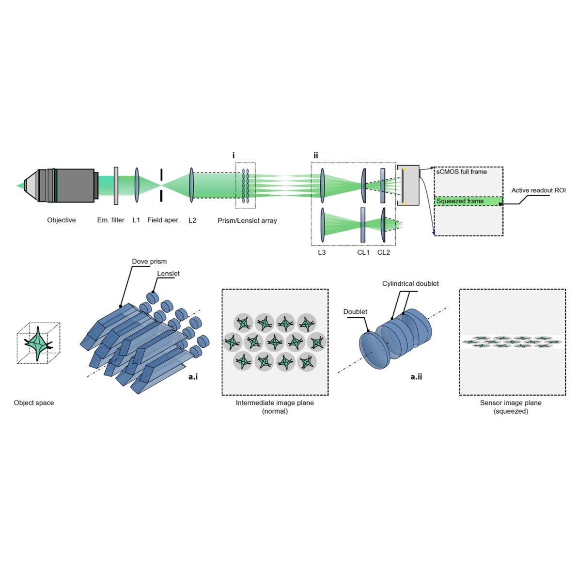 Homepage - Ruixuan Zhao